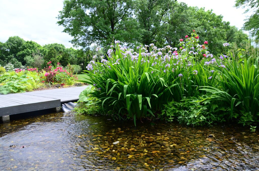 Queens Botanical Garden | Top Attractions Nearby